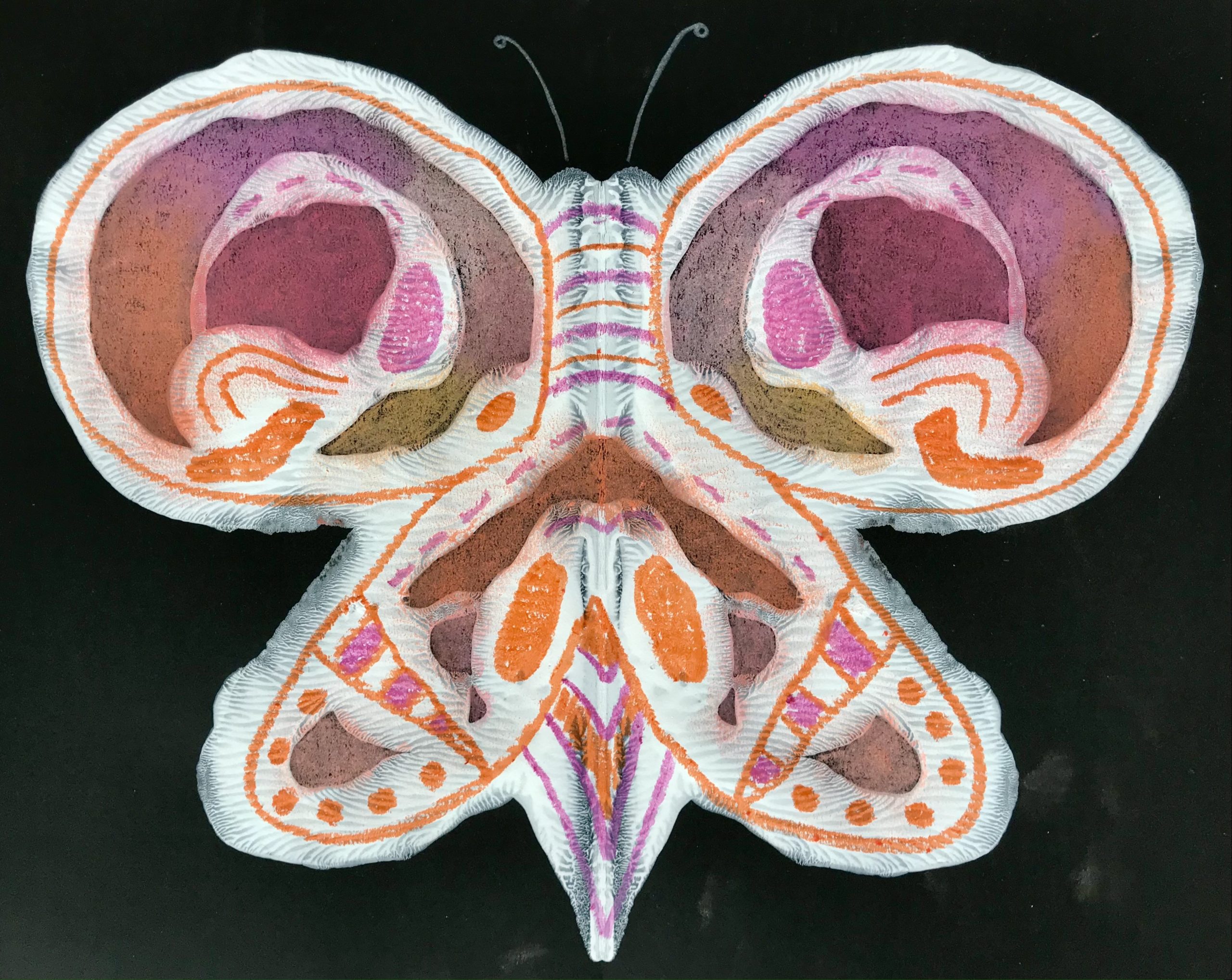 Art Lesson: Butterfly Project - CAKECRUSH